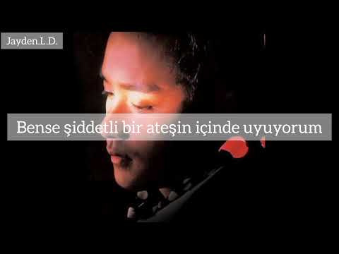 Leslie Cheung - Red Türkçe Çeviri
