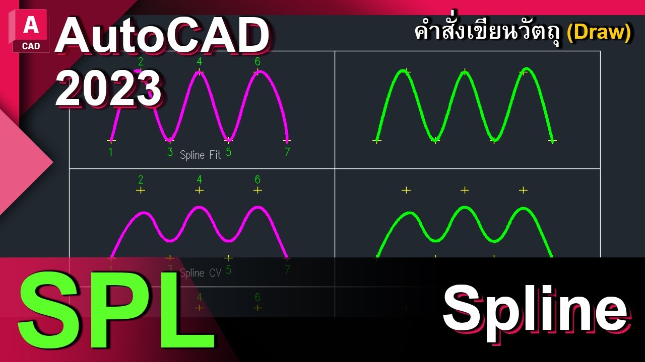autocad 2023 คำสั่งเขียนวัตถุ Spline (SPL) - YouTube