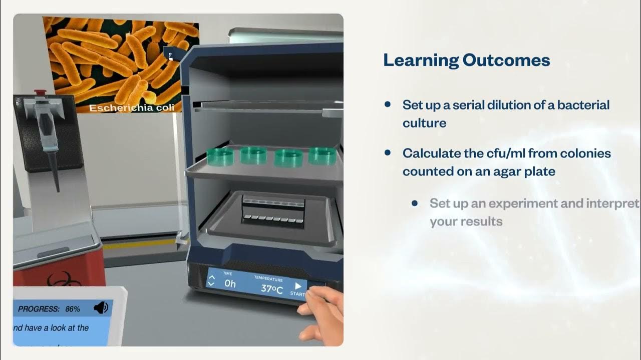 Bacterial Quantification by Culture | Virtual Lab - YouTube