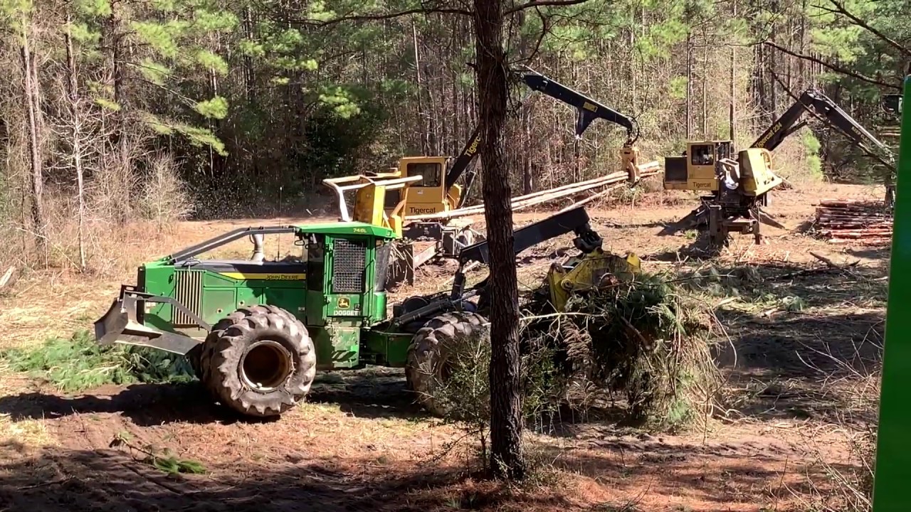 Tigercat Loaders and a Deere Skidder - YouTube