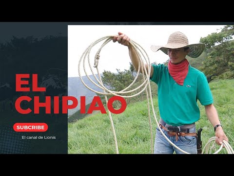 ¿Cómo aprender a enlazar? 2 parte "chipiao" o chipiado de soga - YouTube