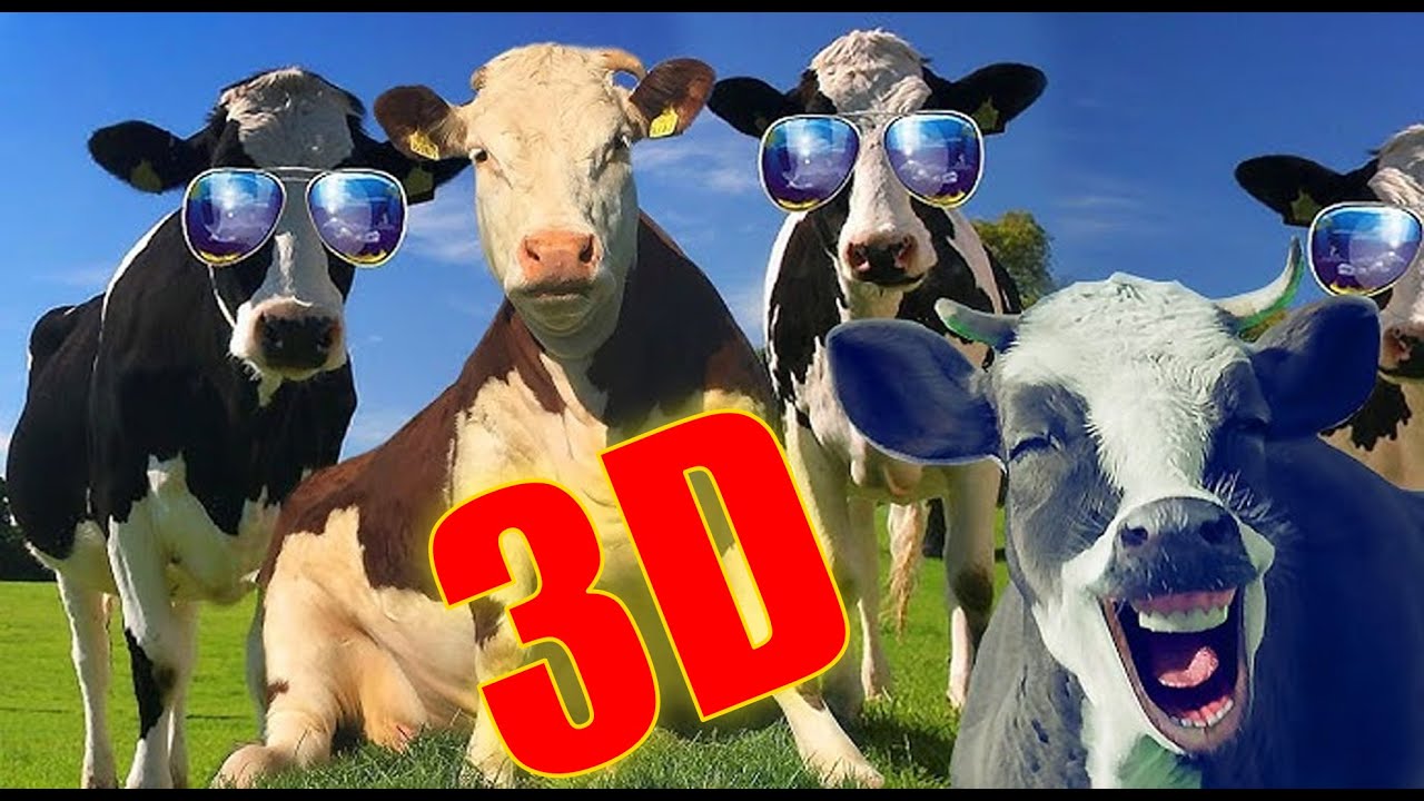 Animated Black 3D Cows In Blender Dancing Cows Cows 3D Models Blender Tutorial #my3dstudio - YouTube