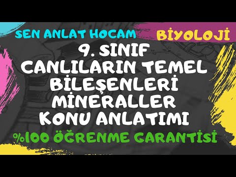9. SINIF CANLILARIN TEMEL BİLEŞENLERİ KONU ANLATIMI 4  | MİNERALLER  | TYT BİYOLOJİ | ✅