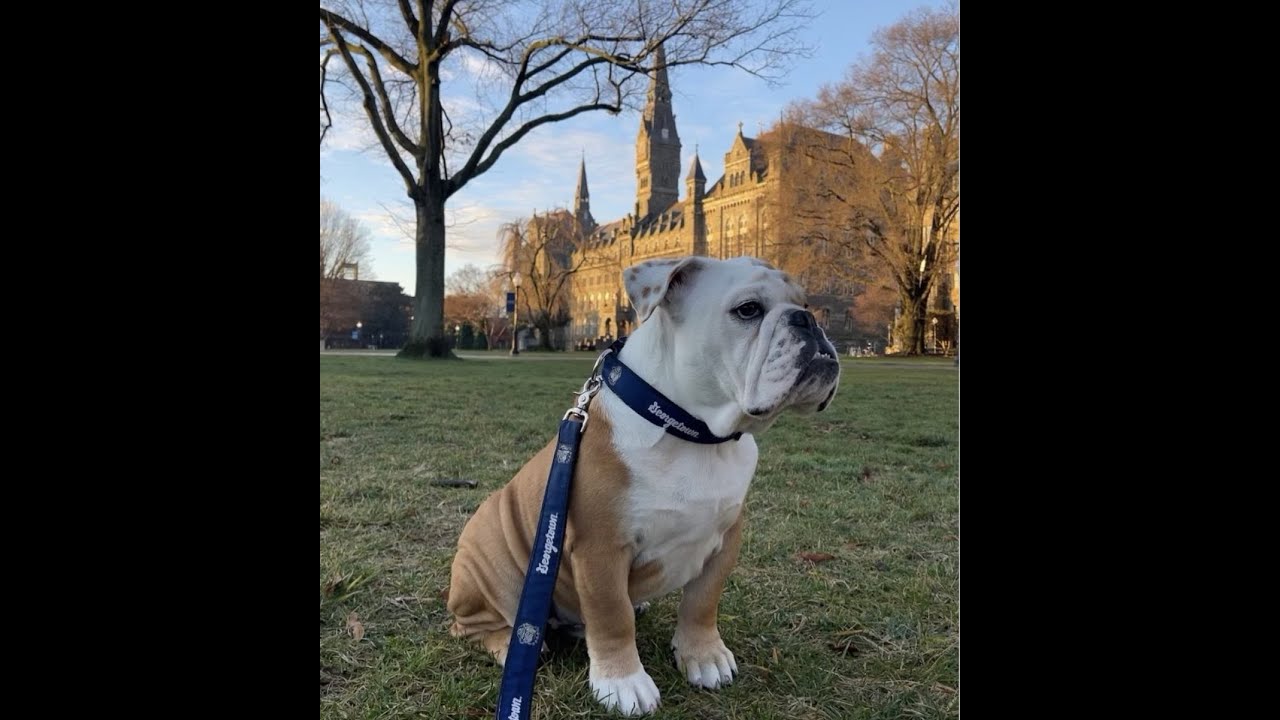 Si College Visits with Columbia University and Georgetown University ...
