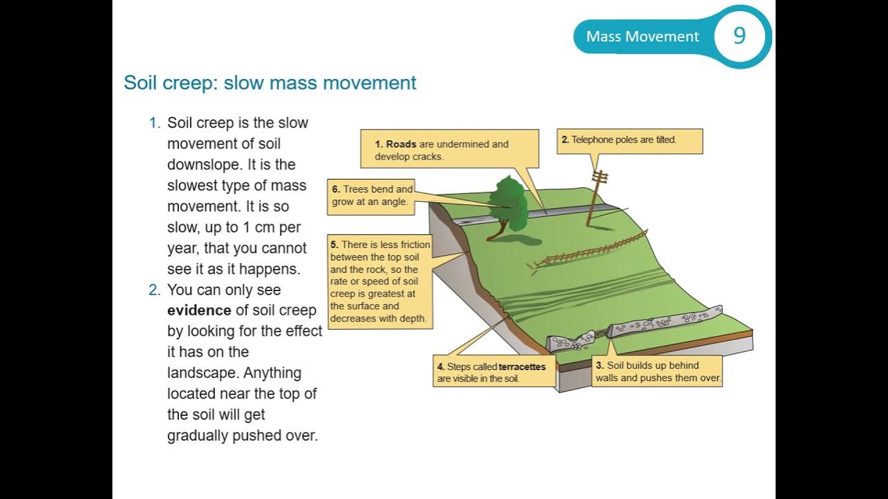Mass Movement Presentation Video - YouTube