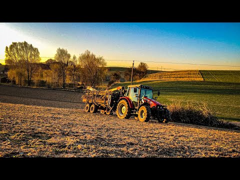 Holzrücken Mit Massey Ferguson 5435 (Pure Sound!) 🚜🪵