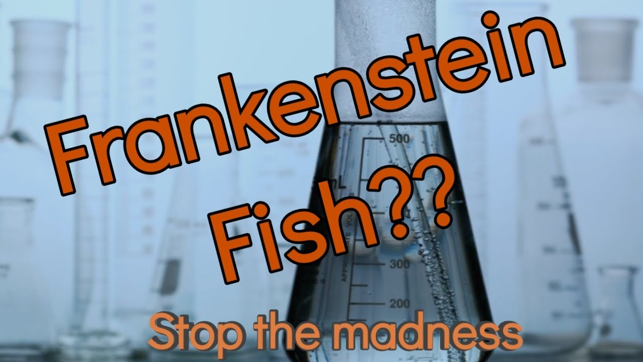 NEW FRANKENSTEIN FISH?? Just stop ️ #fishing - YouTube