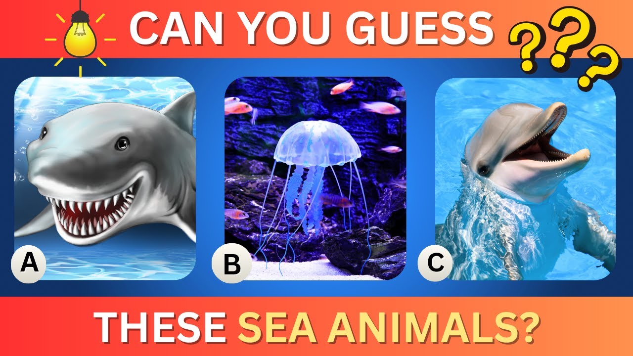 Can You Guess These 20 Amazing Sea Animals? 🐋| Ocean & Aquatic Animals ...