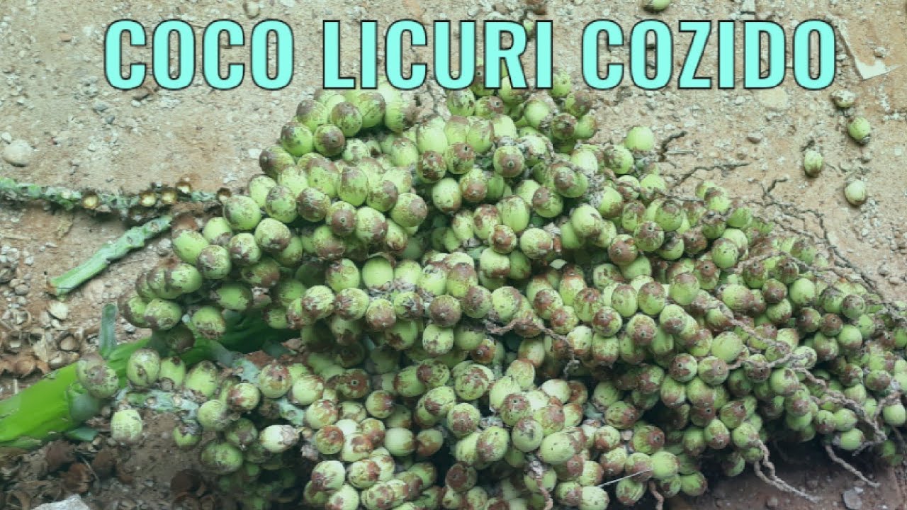 COCO LICURI VERDE PRA COZINHAR - YouTube