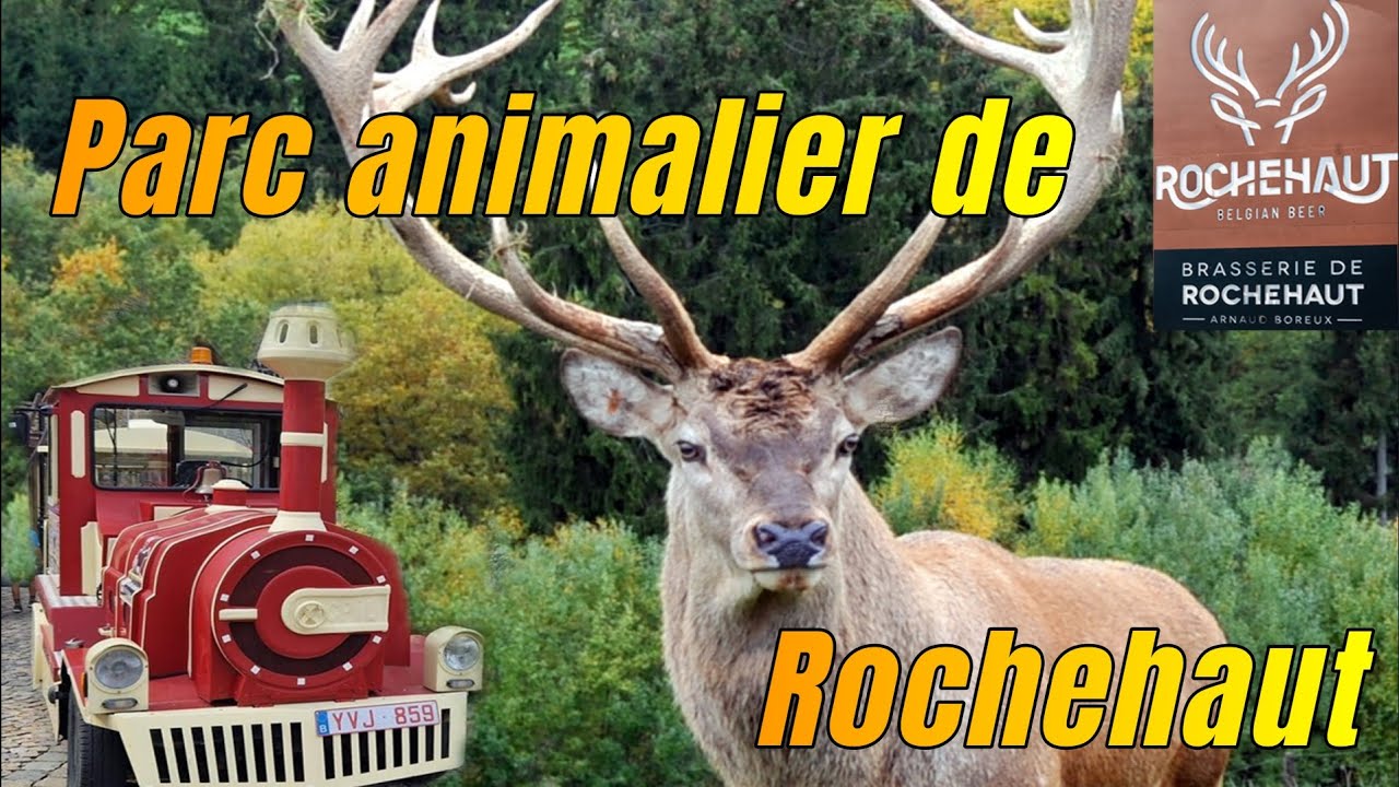 Bezoek Dierenpark Rochehaut vanuit het treintje in de Ardennen | Ontdek ...