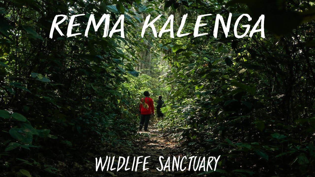 Rema-Kalenga Wildlife Sanctuary | Cinematic View | Travel Video - YouTube