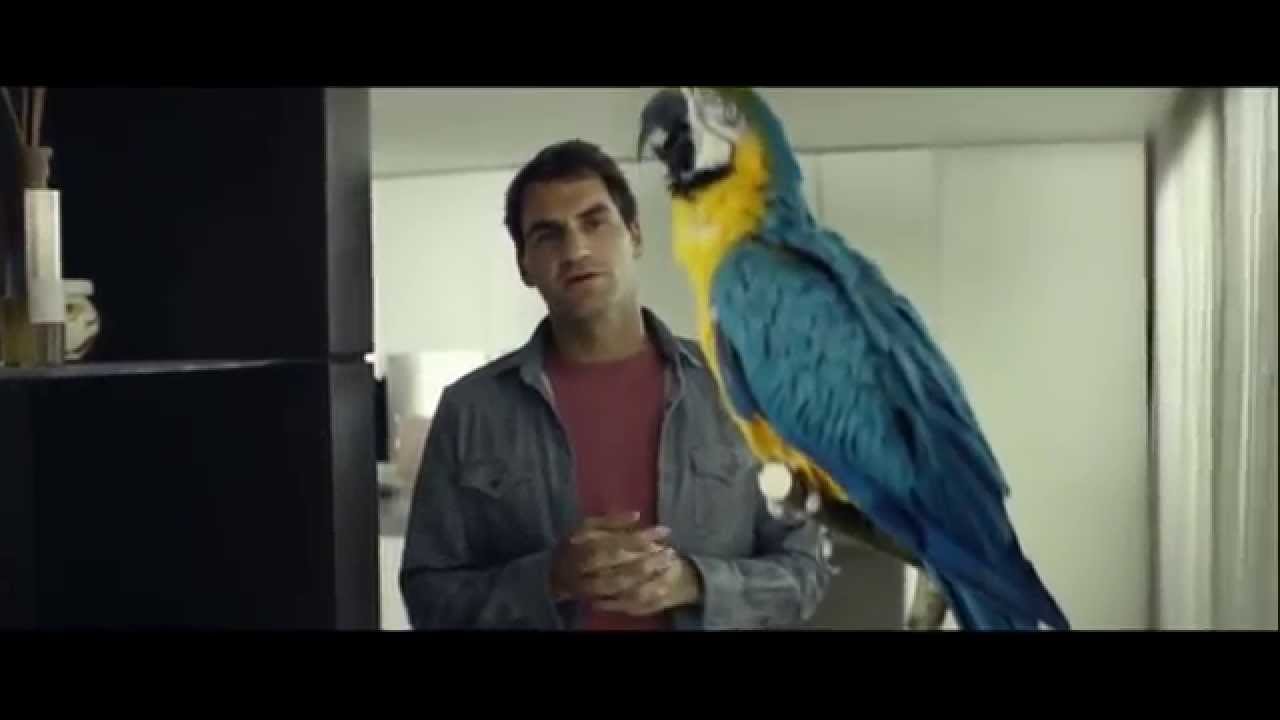 Roger for sunrise with parrot full - YouTube