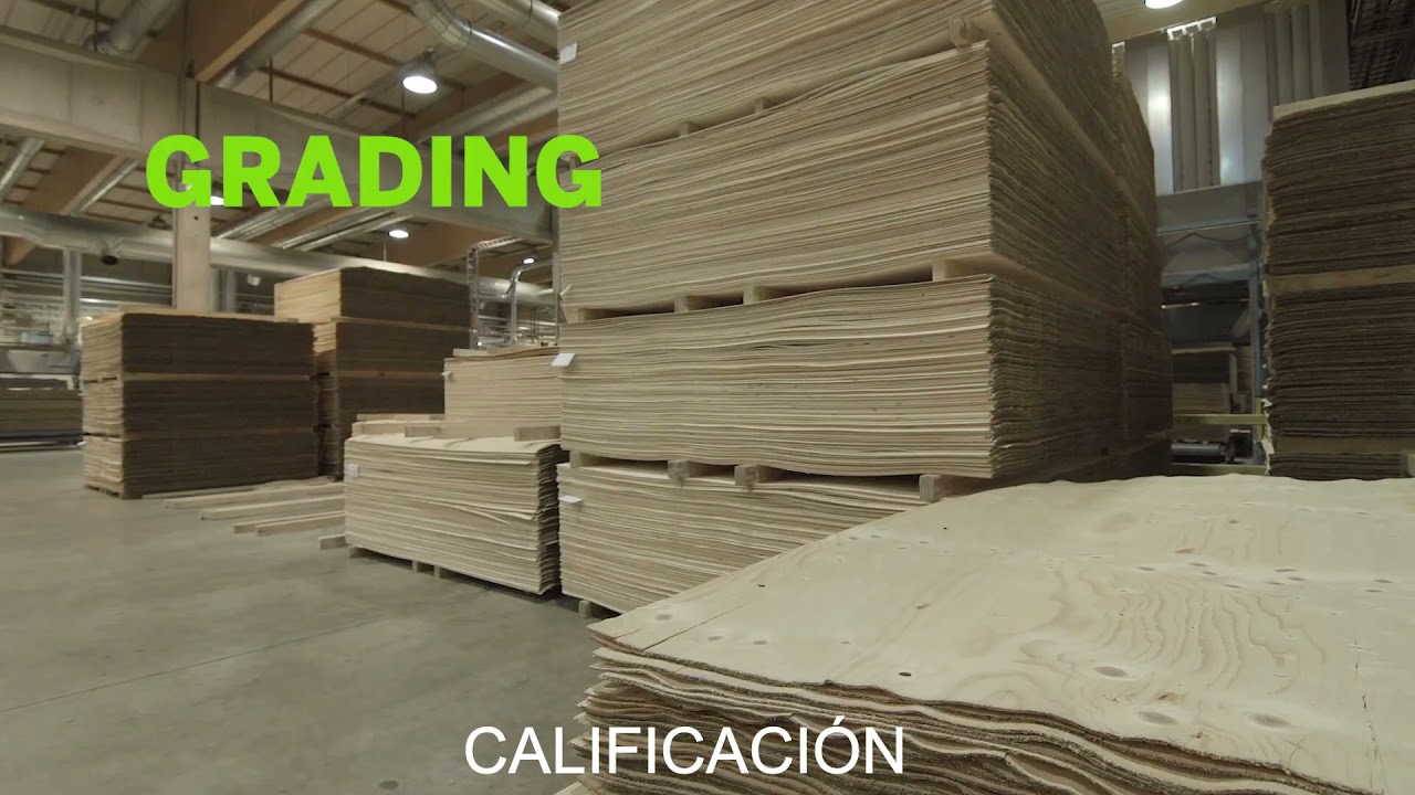 LVL (CHAPA DE MADERA LAMINADA) - YouTube