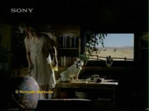 Sony FD Trinitron WEGA TVC 2003