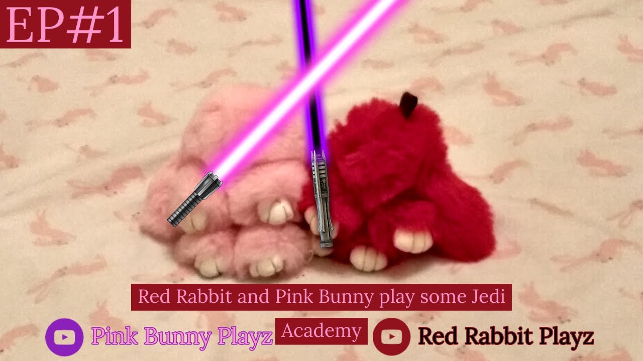 Red Rabbit and Pink Bunny play some Jedi Academy ep1 - YouTube
