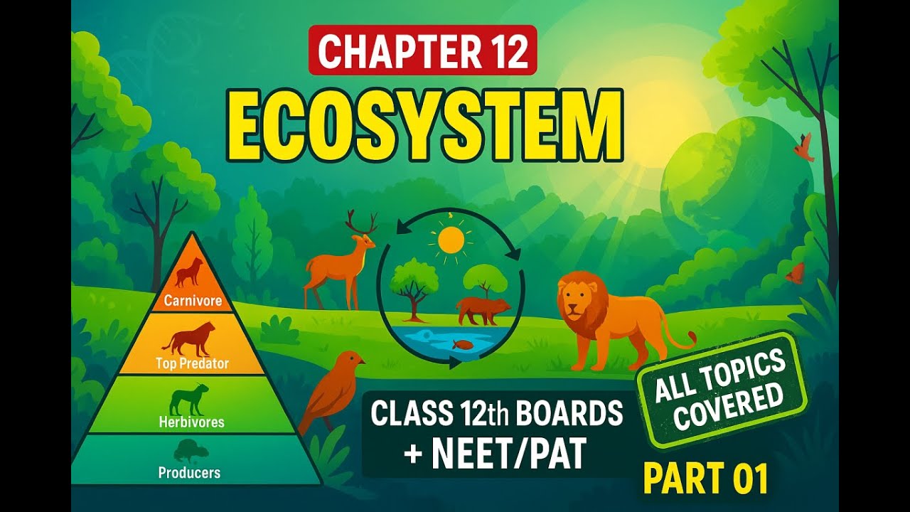 Chapter 12 | Class 12th Boards/ NCERT | Ecosystem | NEET/PAT | 01 - YouTube