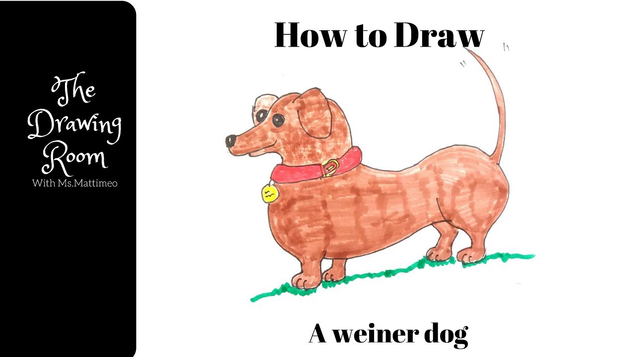 How To Draw A Wiener Dog YouTube how-to-draw-a-wiener-dog-youtube