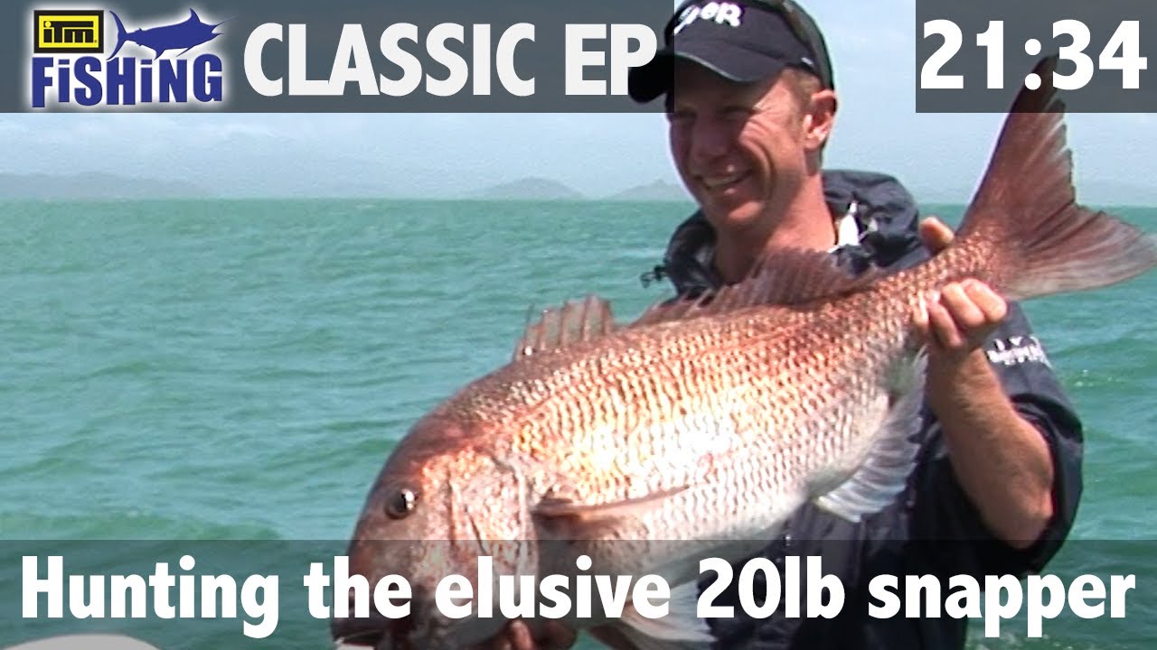 Hunting the elusive 20lb snapper - YouTube