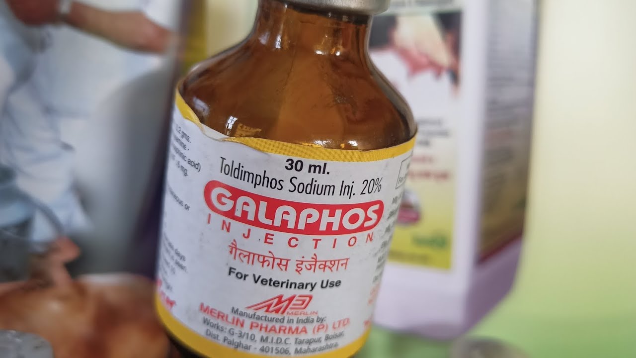 Galaphos injection # toldimphos sodium injection # phosphorus injection ...
