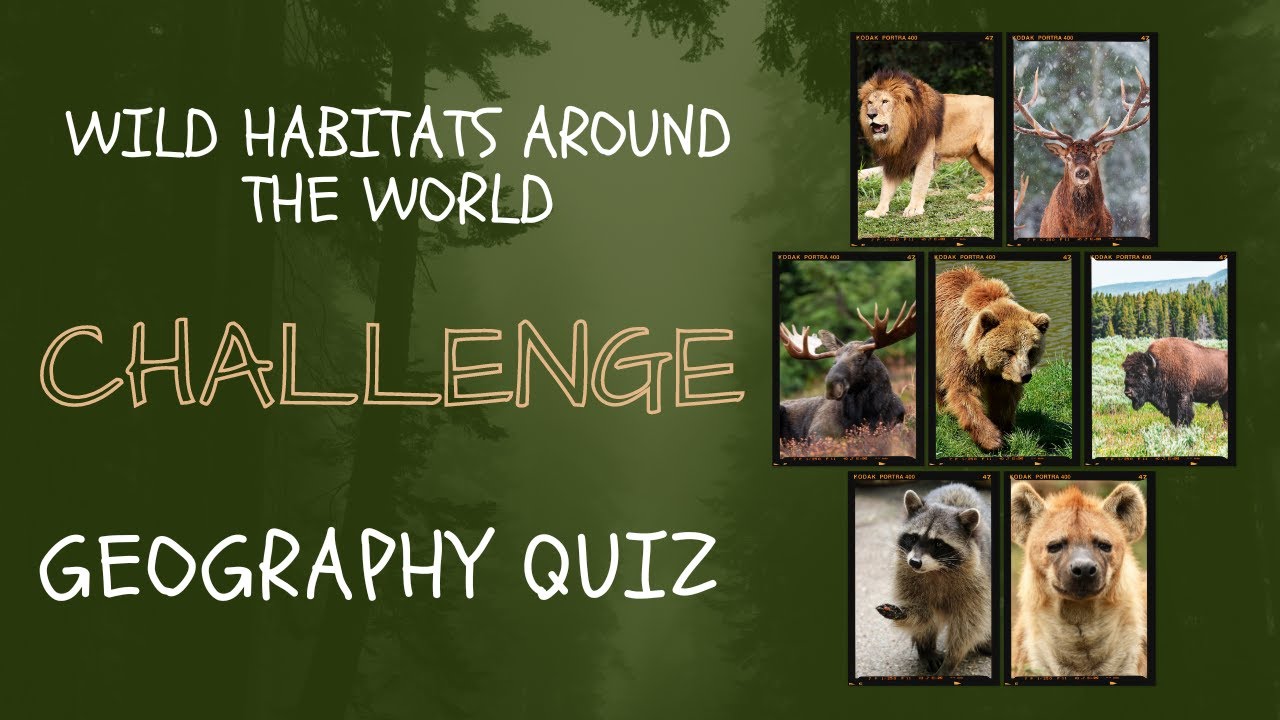 Wild Habitats Around the World: Test Your Animal Knowledge! - YouTube