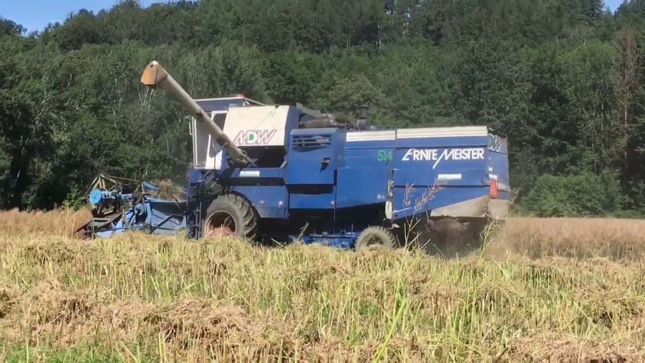 Harvest 2020 1x Fortschritt 514 3x MDW E514 - YouTube