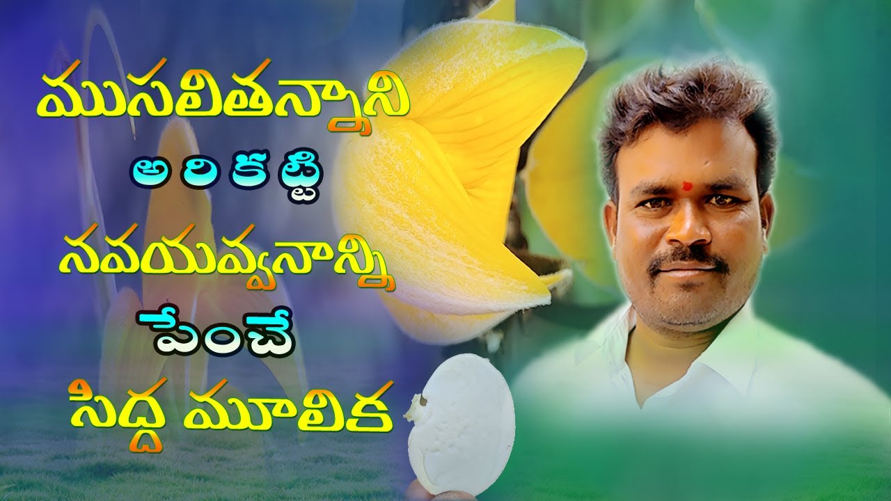 ముసలితన్నాని అరికట్టి నవయవ్వనాన్ని పెంచే సిద్ధ మూలికా(పసుపు వర్ణం ...