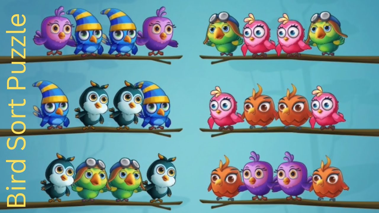 Bird Color Sort Puzzle Gameplay - YouTube
