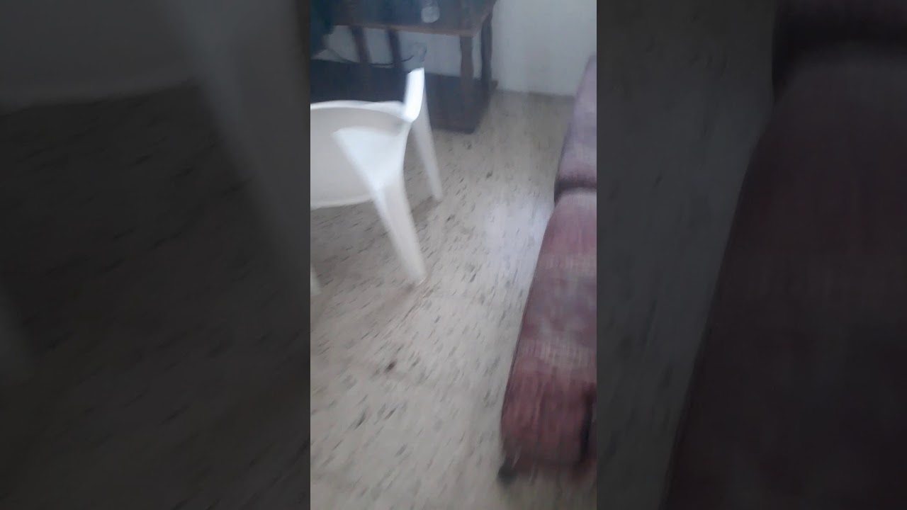 Screaming for no reason meme - YouTube