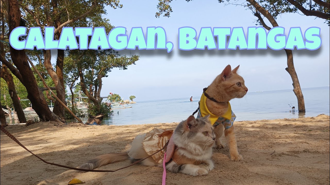 SMP CAMPSITE - YouTube