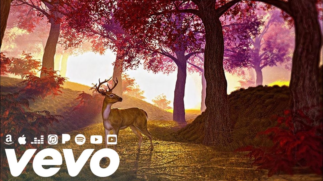 Christian 21 - Highs (official music video) - YouTube Music
