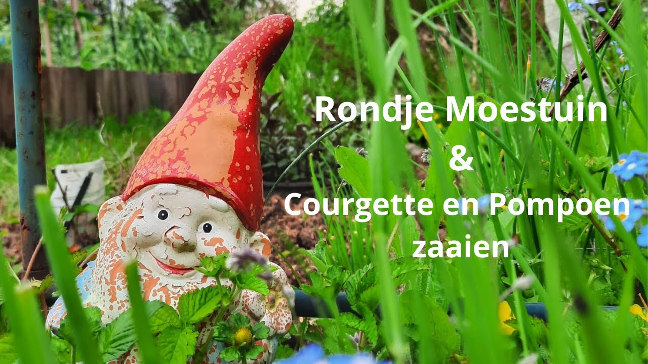 Courgette en pompoen zaaien en een RONDJE moestuin - YouTube