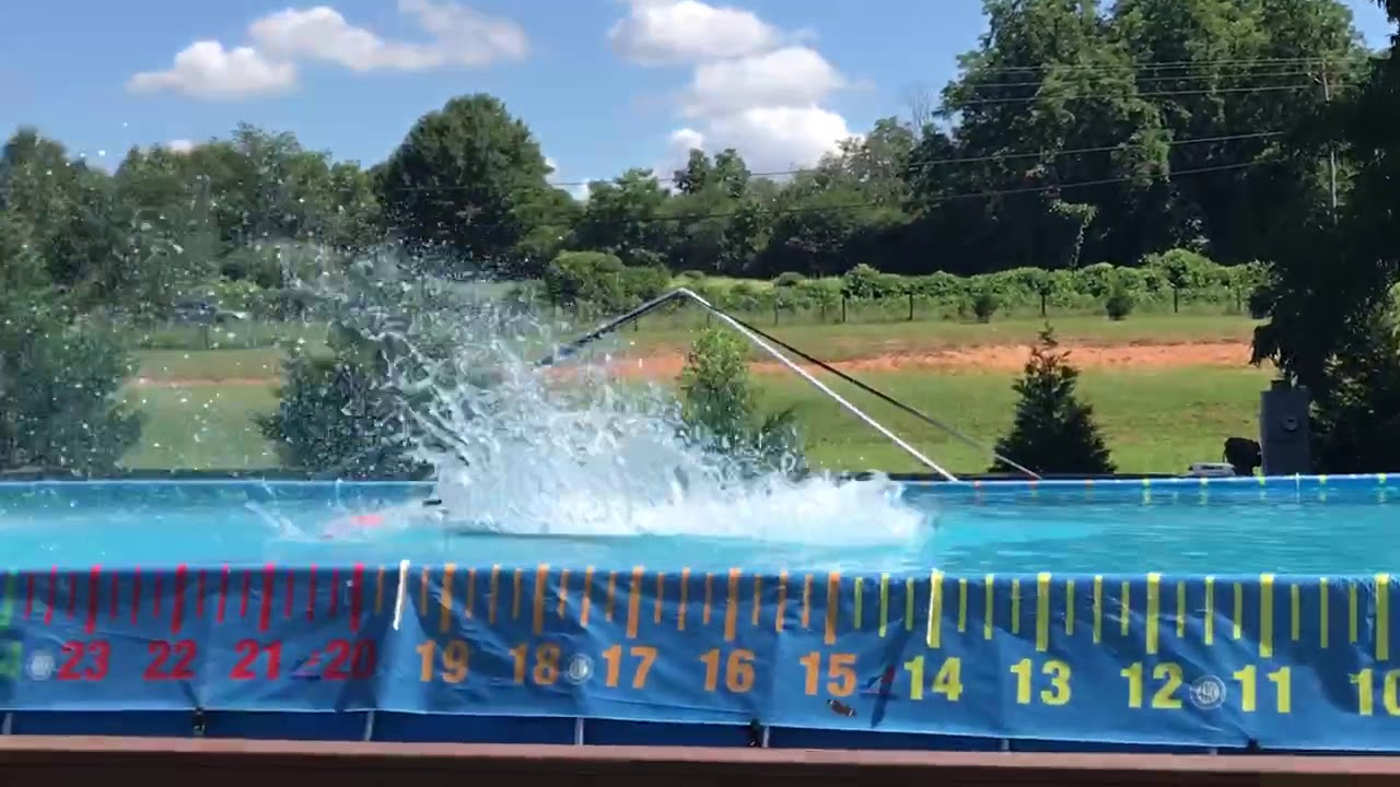 Mango beginning Dock Diving - YouTube