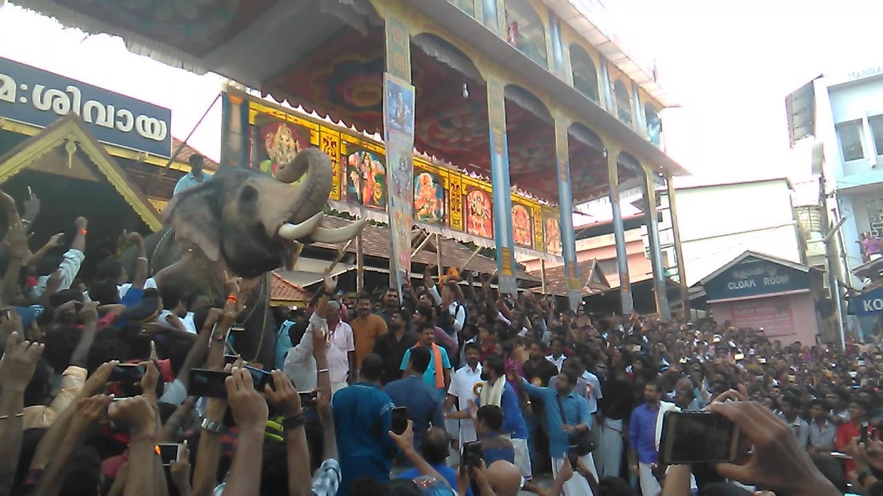 PALLATTU BRAHMADATHAN THIRUNAKKARA PAKALPOORAM 2018 - YouTube