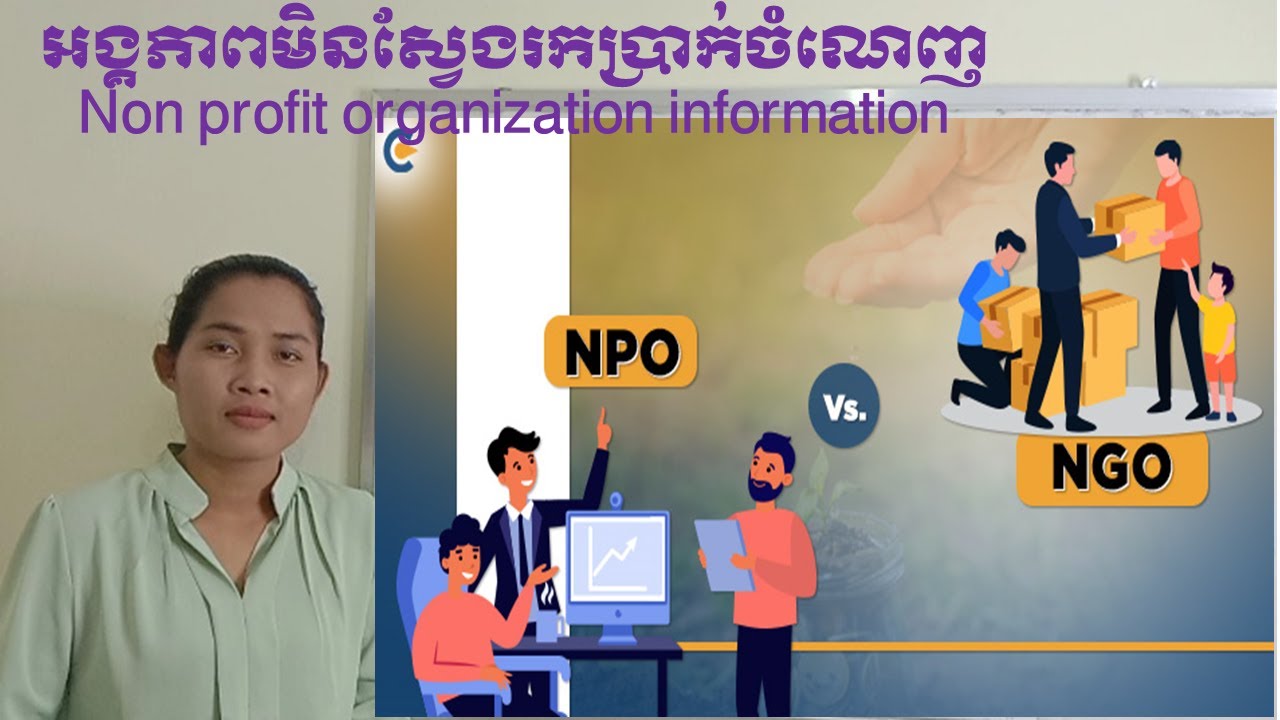 What is non profit organization? and Types of non-profit organization ...