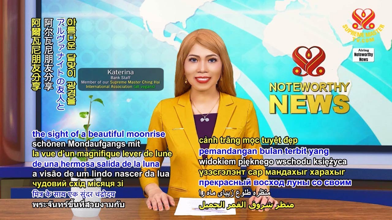 1988 Noteworthy News - YouTube