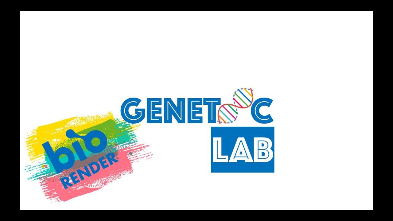 What and how to use the BioRender? | Drawing software for scientific ...