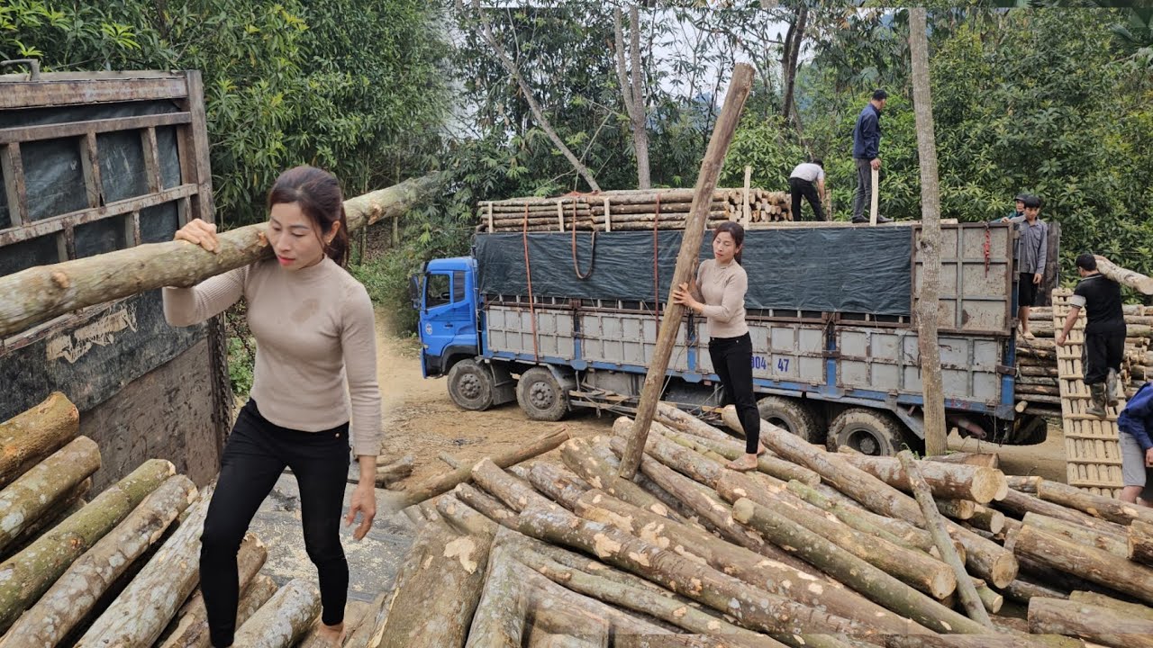 A hard working day of a girl working as a lumber loader and wood truck ...