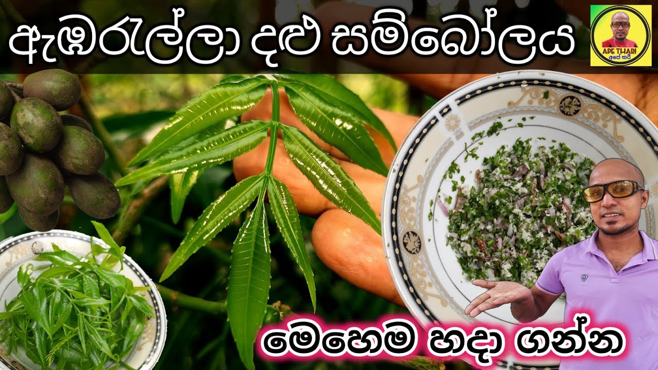 ඇඹරැල්ලා දළු සම්බෝලය මෙහෙම හදාගන්න | ambarella dalu sambole | ambarella ...