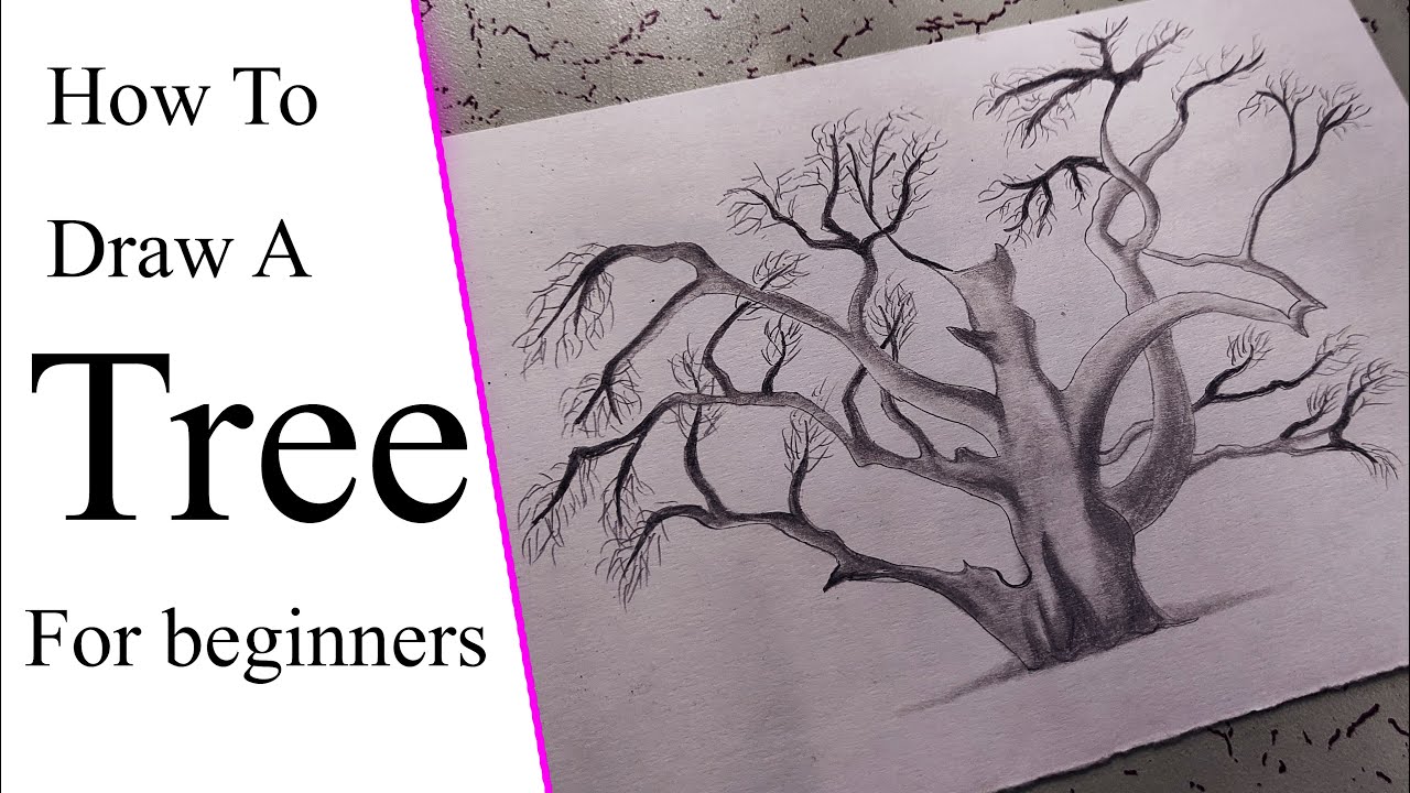 Tree drawing | Tree drawing easy | dead tree drawing easy - YouTube