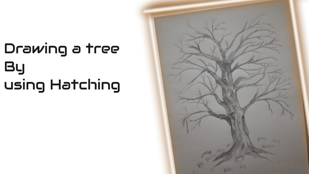 Drawing a Tree using Hatching - YouTube