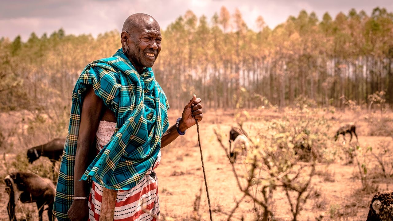 This is my Kenya, Our Country || Feat. Sharon Machira || A Backdrop ...