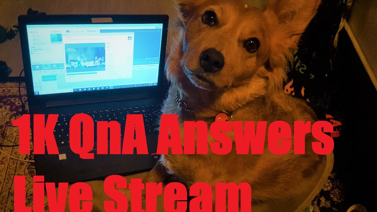 1K QnA Live Stream - YouTube