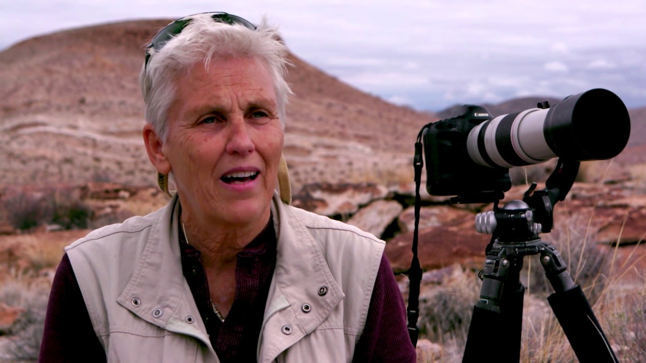 Save the Desert National Wildlife Refuge Pt. 2 - YouTube