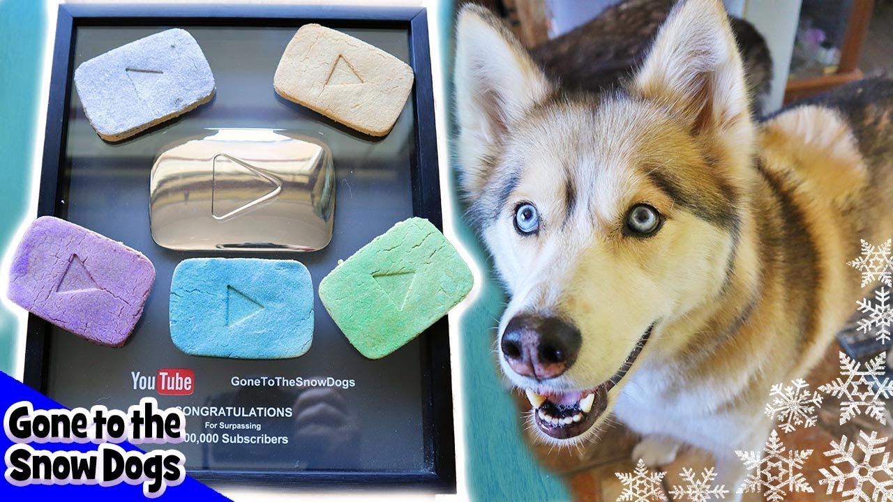 YouTube Play Button Cookies for Dogs | DIY Dog Treats Recipe 100 - YouTube