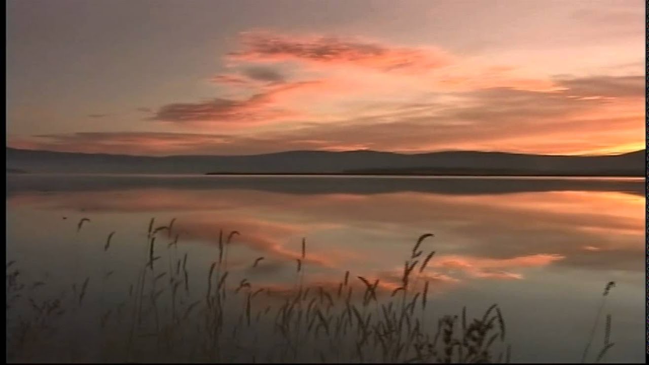 Theme from a summer place (Percy Faith version) - YouTube