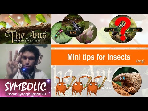 The Ants - (EN) Mini guide about insects? Reminders and tips. - YouTube