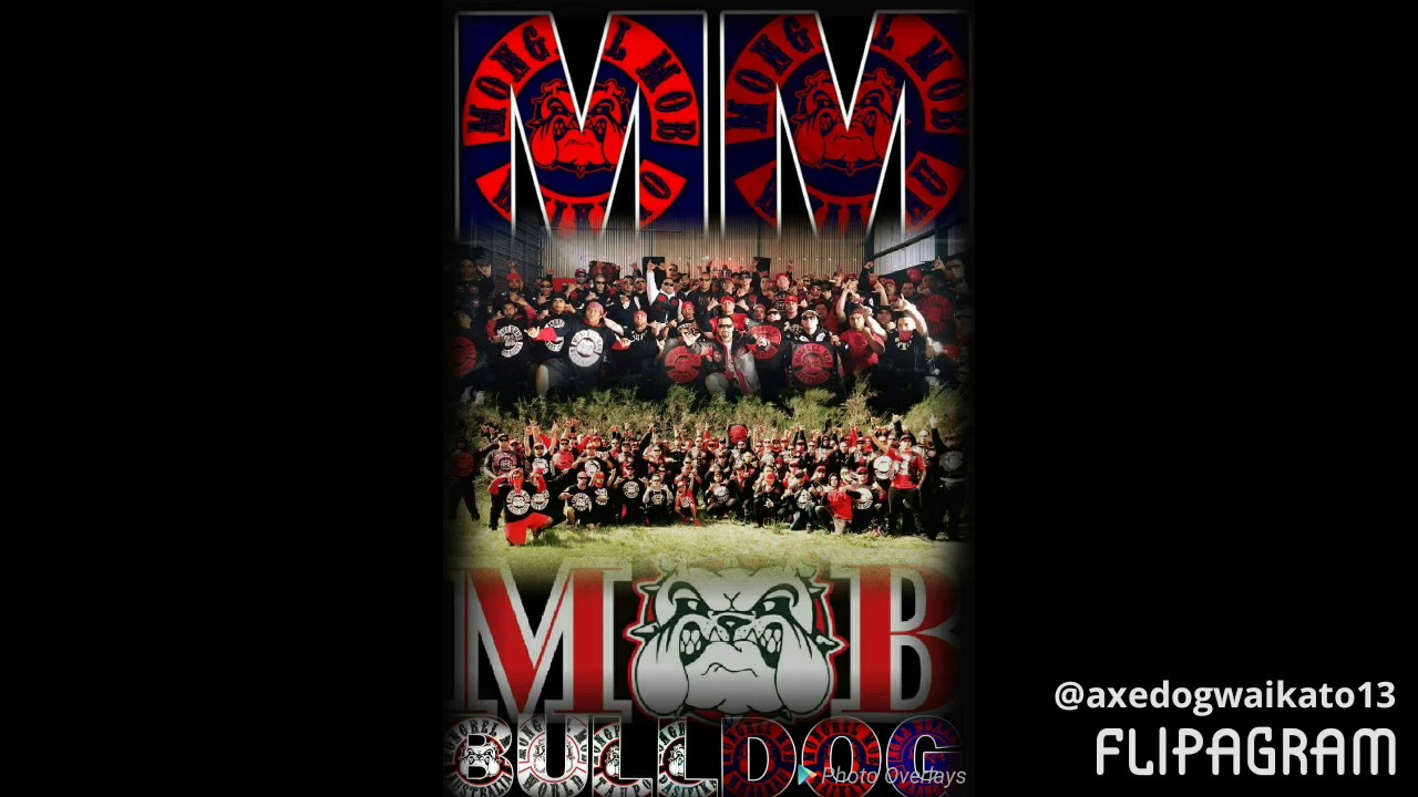 MONGREL MOB WAIKATO KINGDOM - YouTube