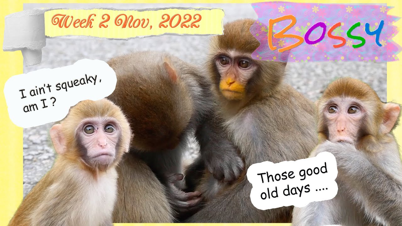 The meltdown of baby Riy II - the duo 😍 with pitiful squeaks - YouTube