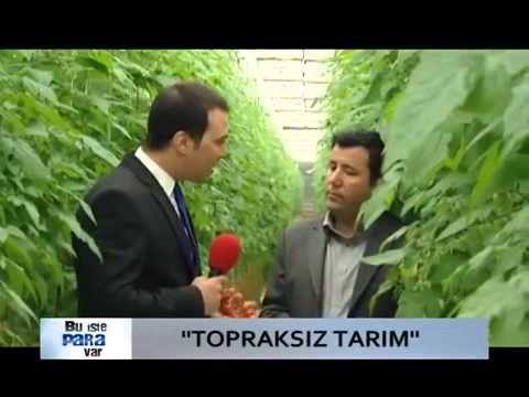 BU İŞTE PARA VAR TOPRAKSIZ TARIM