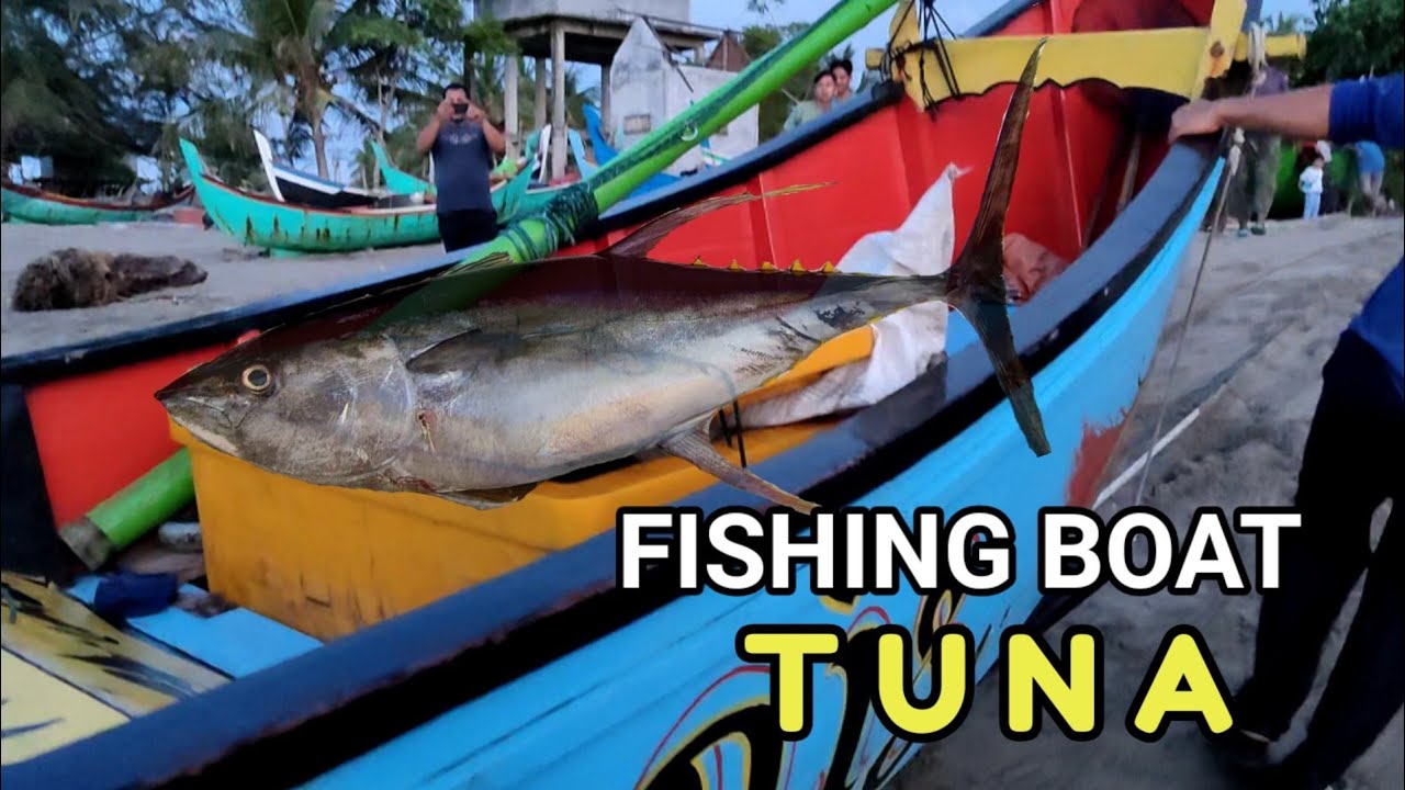 Tangkapan Ikan Tuna Nelayan Tradisional Laut Aceh - YouTube